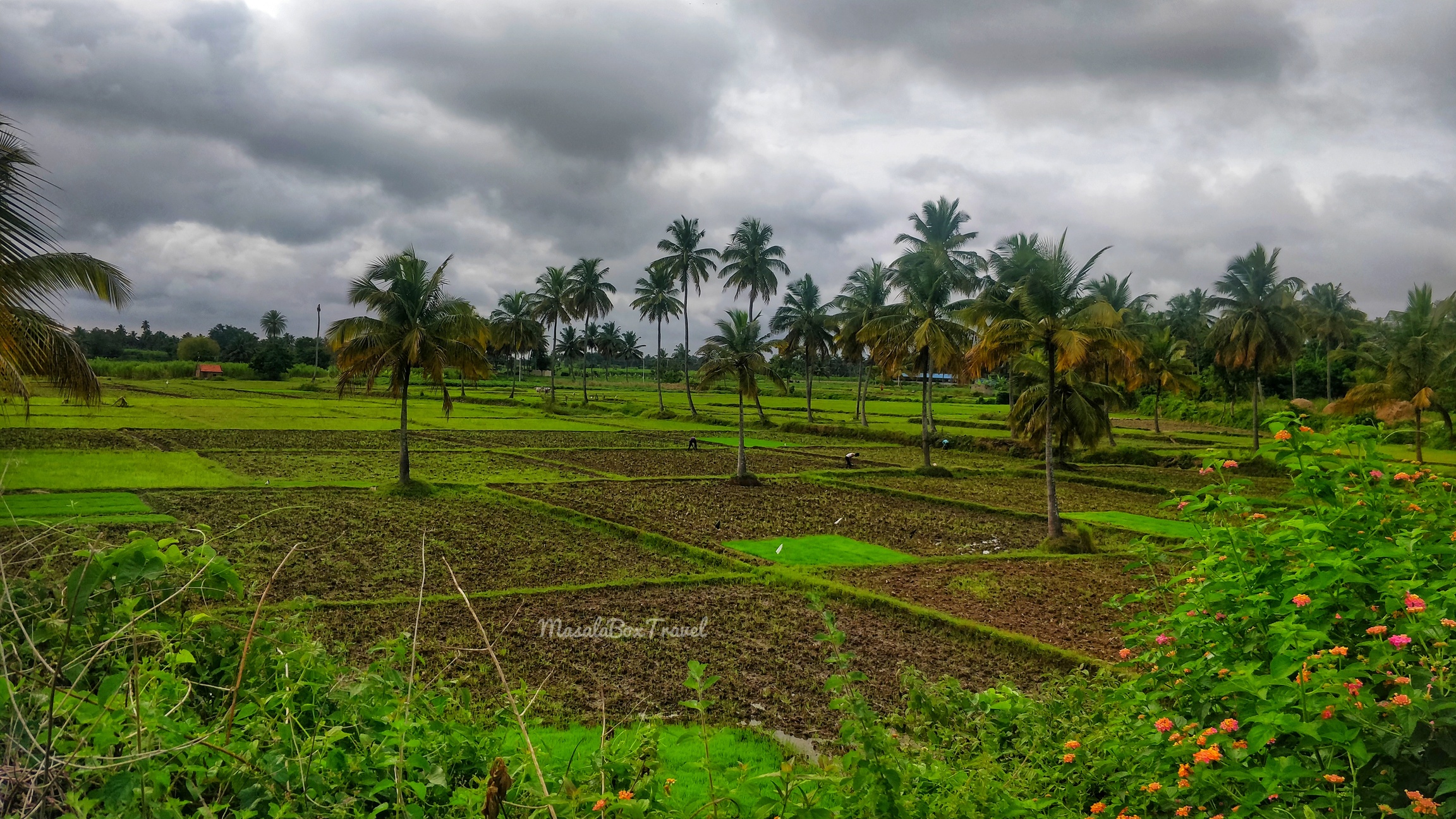 Melukote and Around | Day Trip from Bangalore | Religious Getaway
