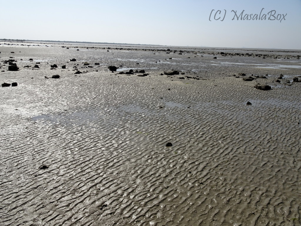 Narara Marine National Park | Jamnagar | Sea Water