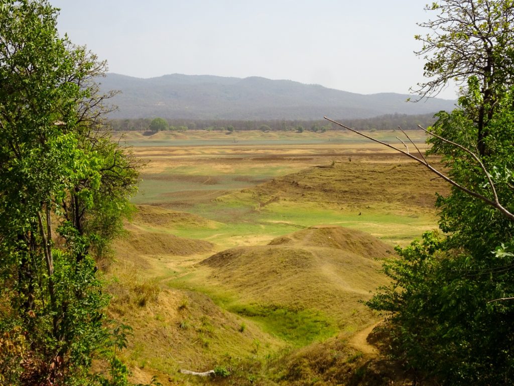 Denwa Backwater Escape | Satpura National Park