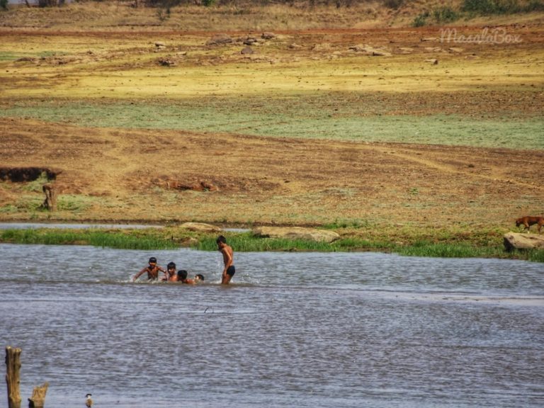 Satpura National Park and Tiger Reserve - Travel Guide