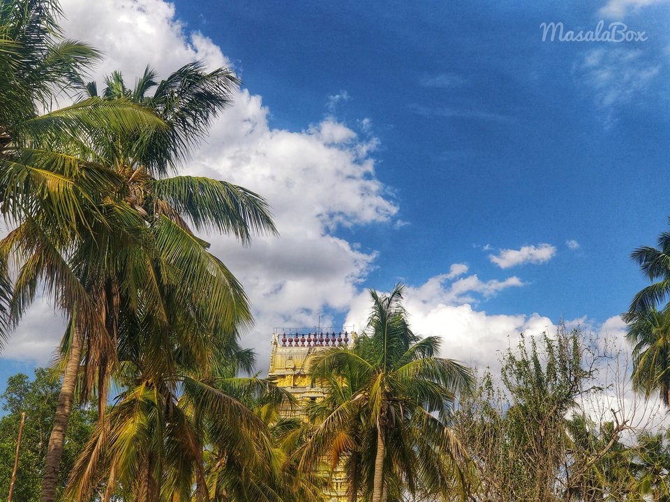 Athi Varadar raising at Kanchipuram, once in 40 years spectacle